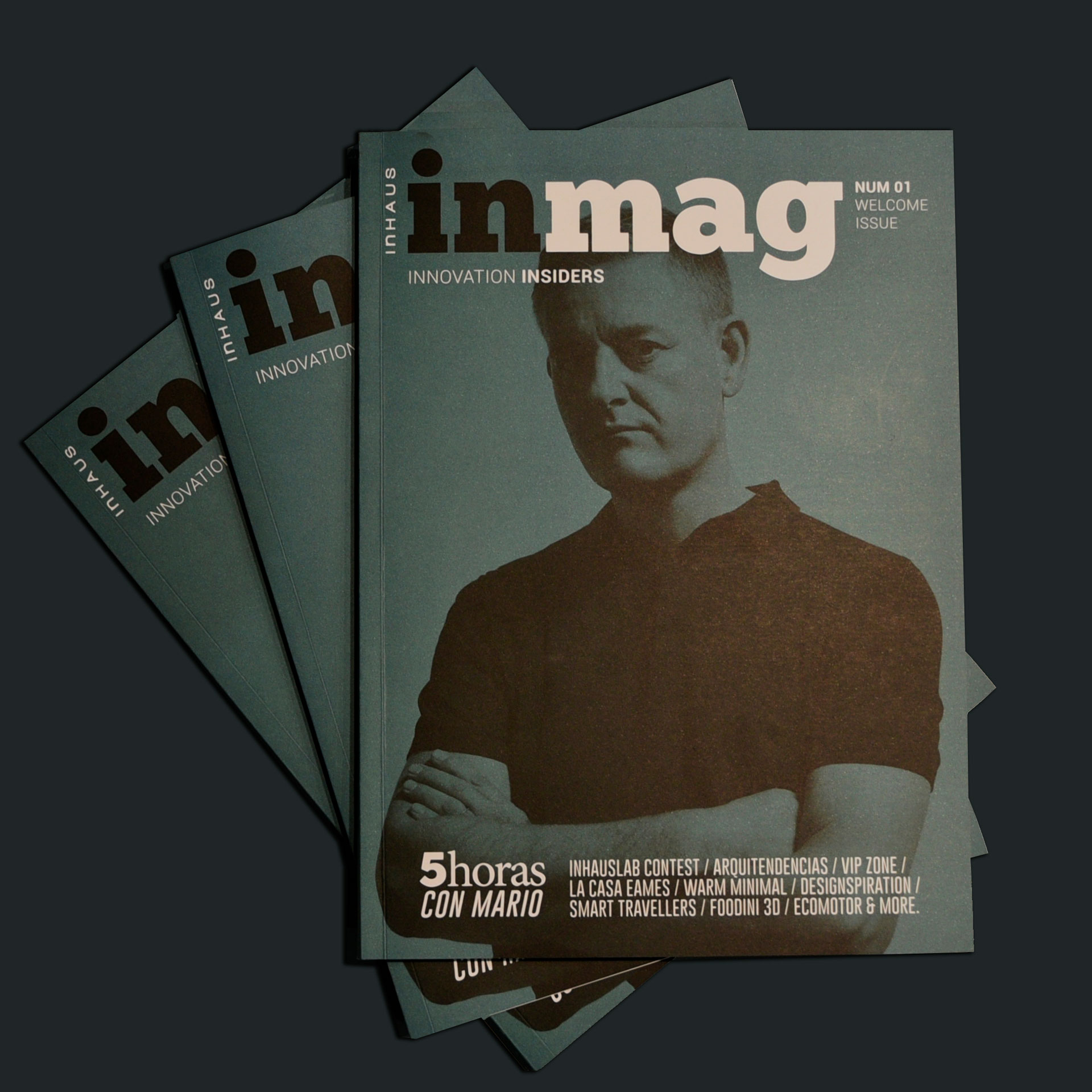 inMAG, la revista de inHAUS - inHAUS inhaus, la marca de las casas